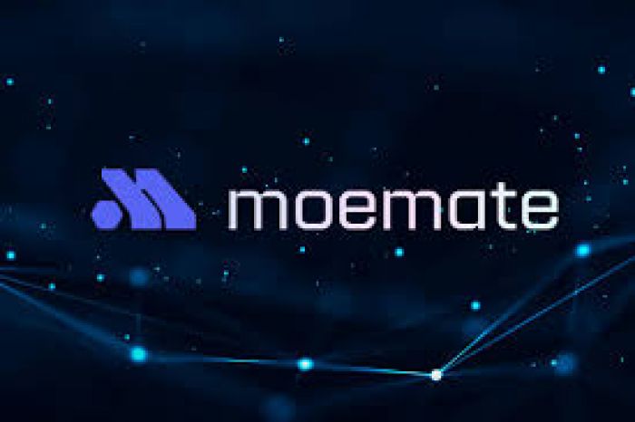 Moemate AI Review (2025): What Went Wrong, What It Offered, and What to ...
